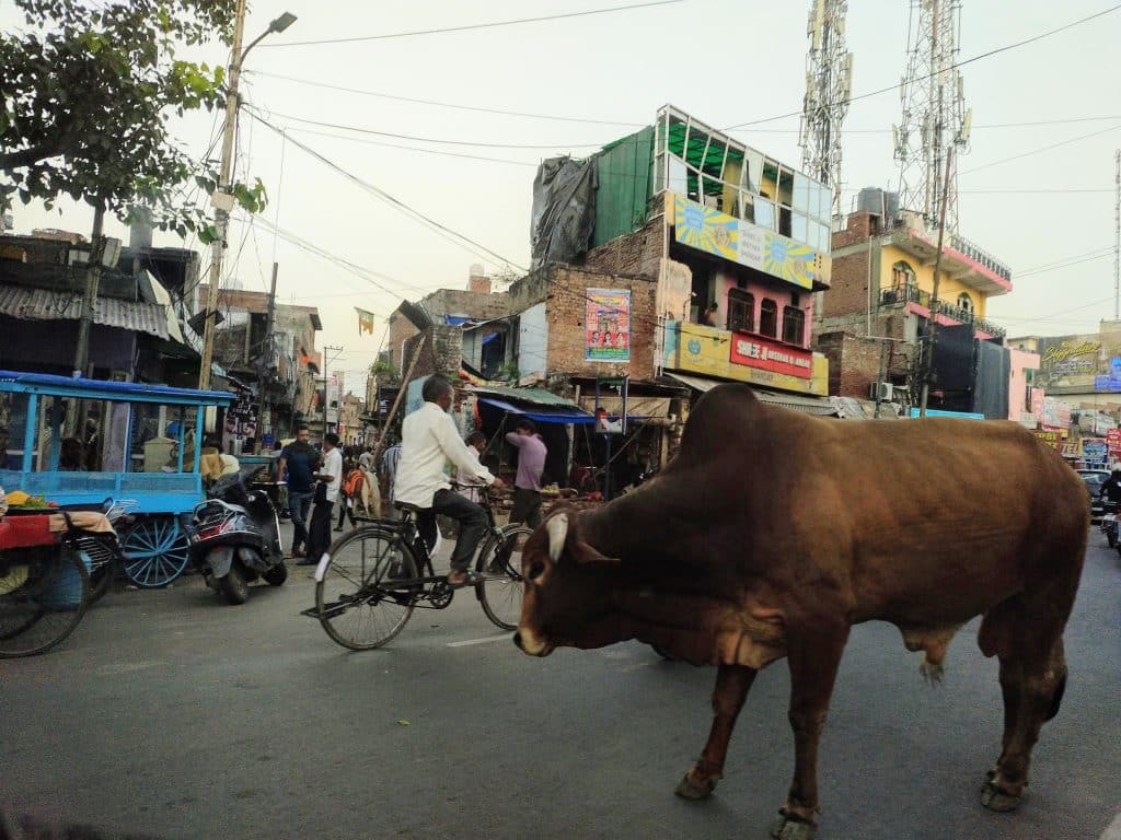 Nuestra Experiencia en la India - Cómo dar la vuelta al mundo